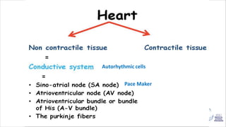 Lecture 4 Introduction and cardiac automaticity (Physiology 1).pdf