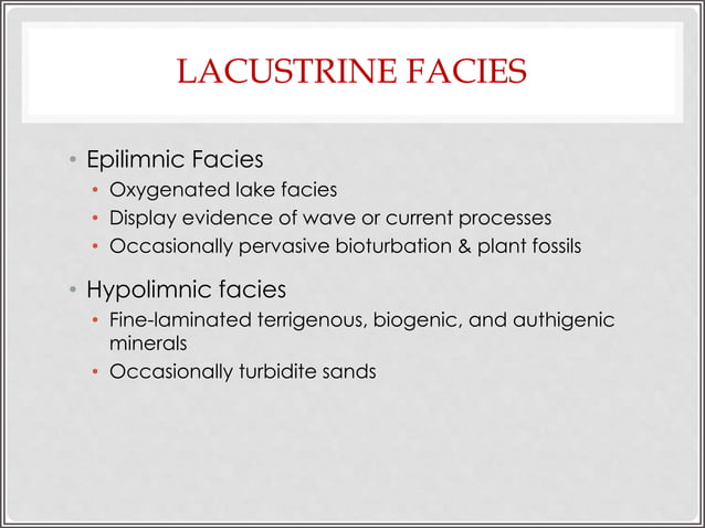 Lacustrine | PPTX