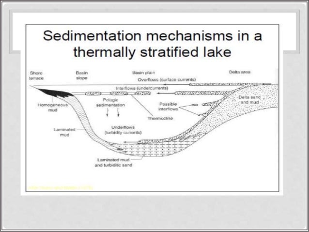 Lacustrine Definition