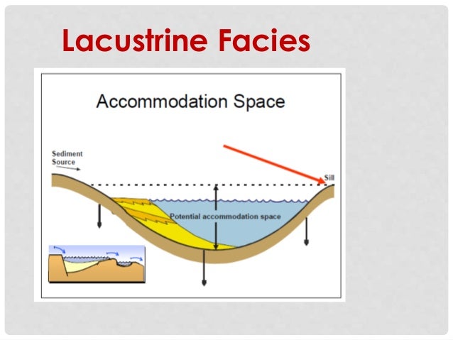Lacustrine