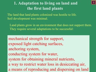 Lecture4 life cycle of plants | PPT