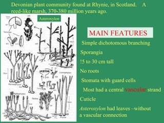 Lecture4 life cycle of plants | PPT
