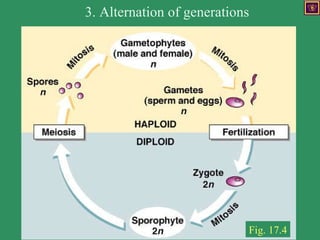 Lecture4 life cycle of plants | PPT