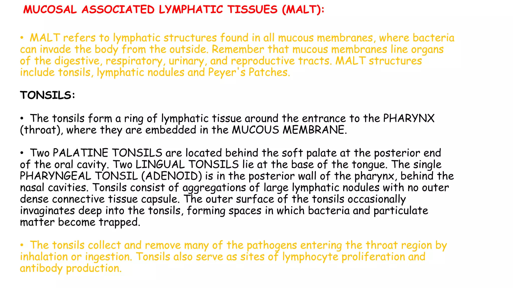 Lecture 4 lymphatic system | PPTX