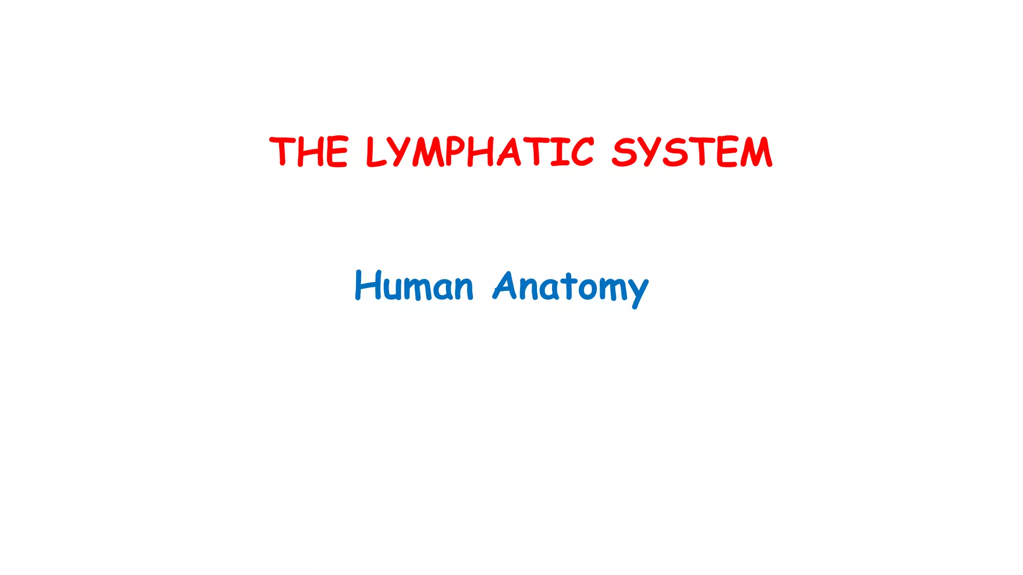 Lecture 4 lymphatic system | PPTX
