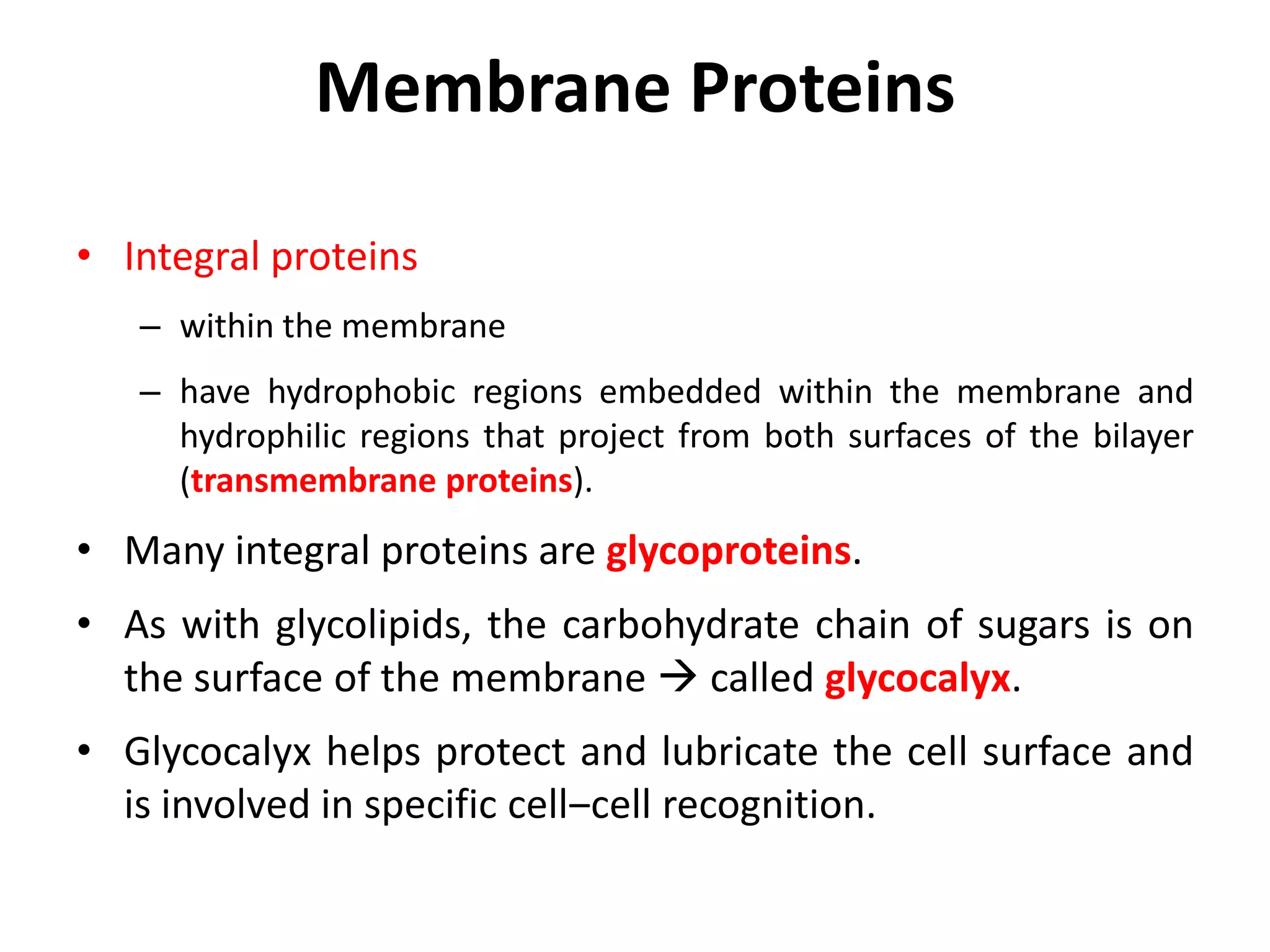 Lecture 4 Membrane Structure and Membrane Transport of Small Molecules ...