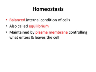 Lecture 4 Membrane Structure and Membrane Transport of Small Molecules ...