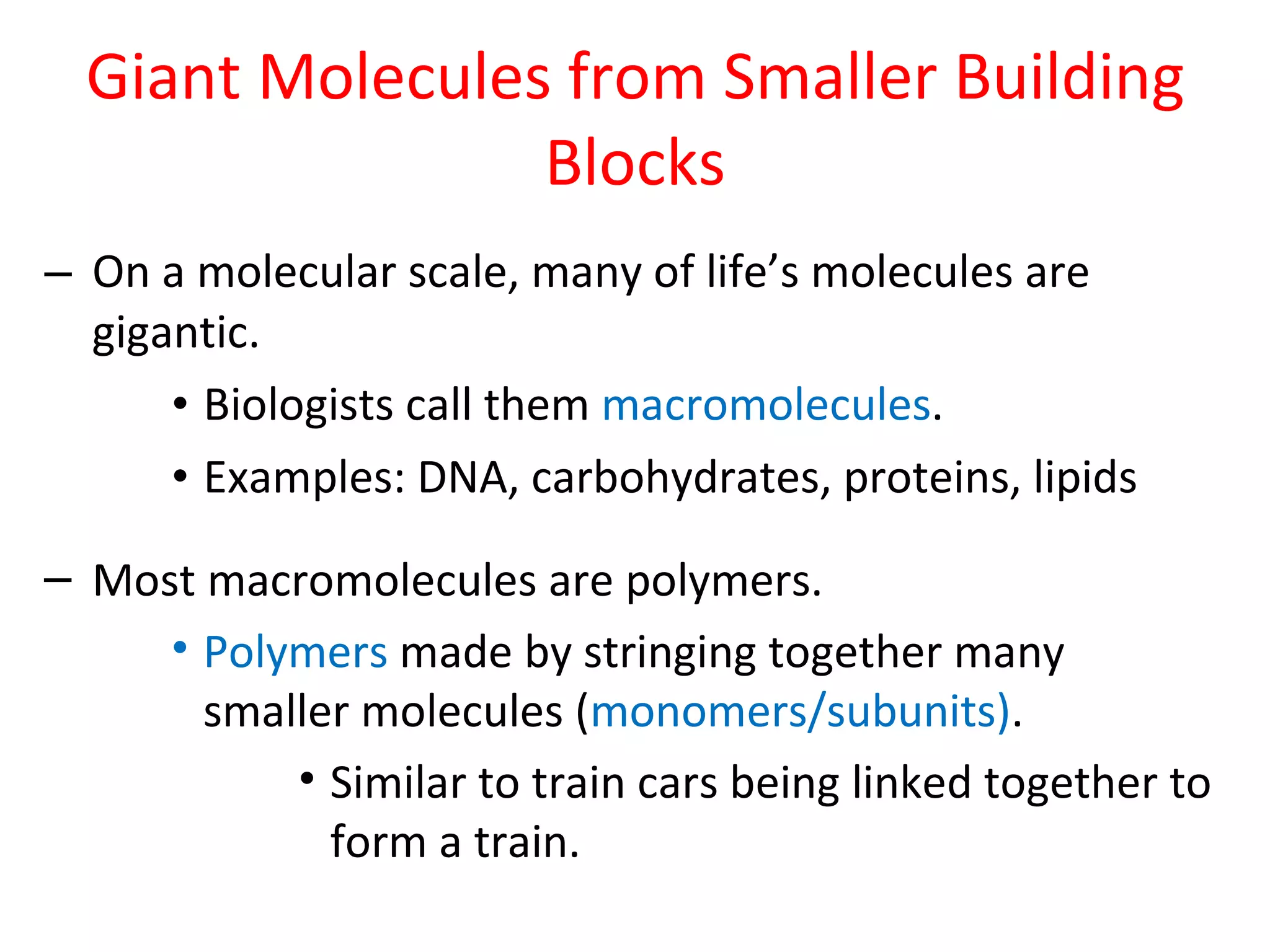 Lecture 4 molecules of life | PPT
