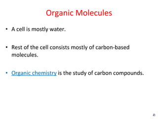 Lecture 4 molecules of life | PPT