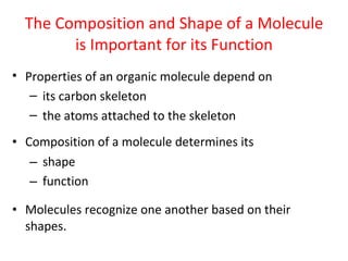 Lecture 4 molecules of life | PPT