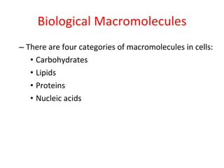 Lecture 4 molecules of life | PPT
