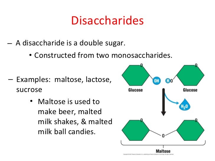 Lecture 4 molecules of life
