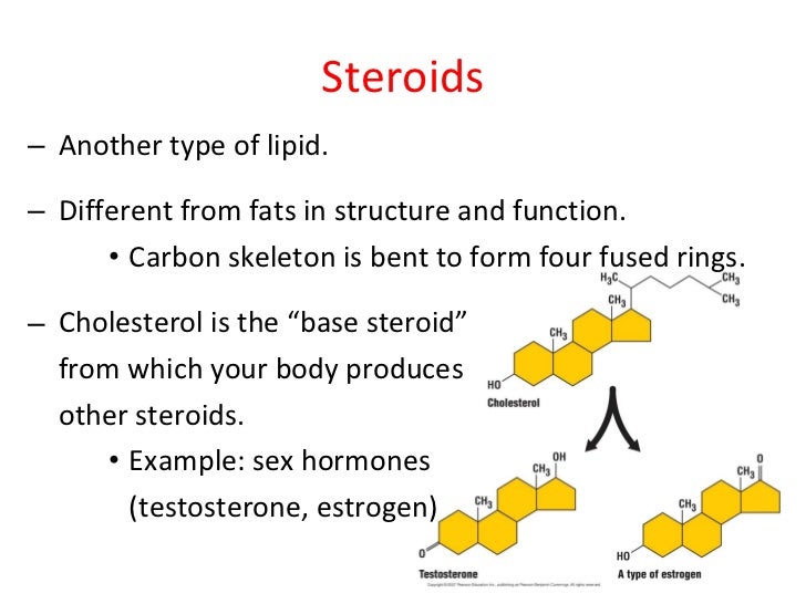 Lecture 4 molecules of life