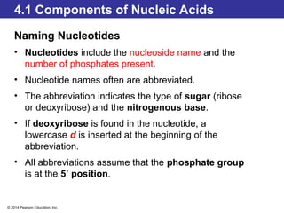 Nucleic acids and their work at best,, enjoy yourself | PPT