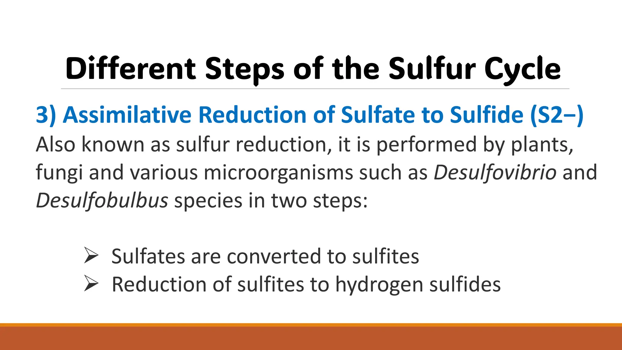 Lecture 4 PHOSPHORUS AND SULFUR CYCLE.pdf