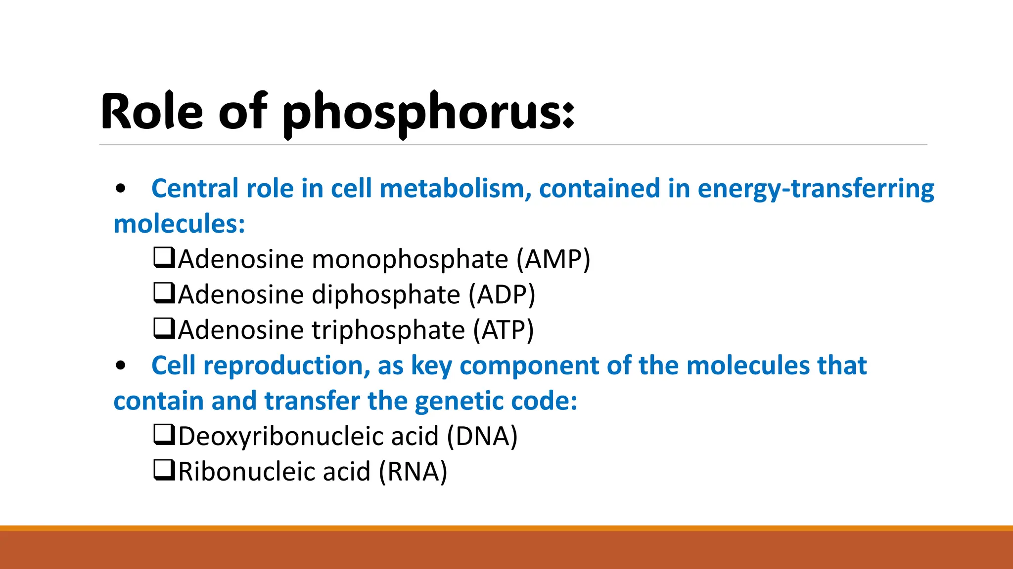 Lecture 4 PHOSPHORUS AND SULFUR CYCLE.pdf