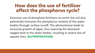 Lecture 4 PHOSPHORUS AND SULFUR CYCLE.pdf