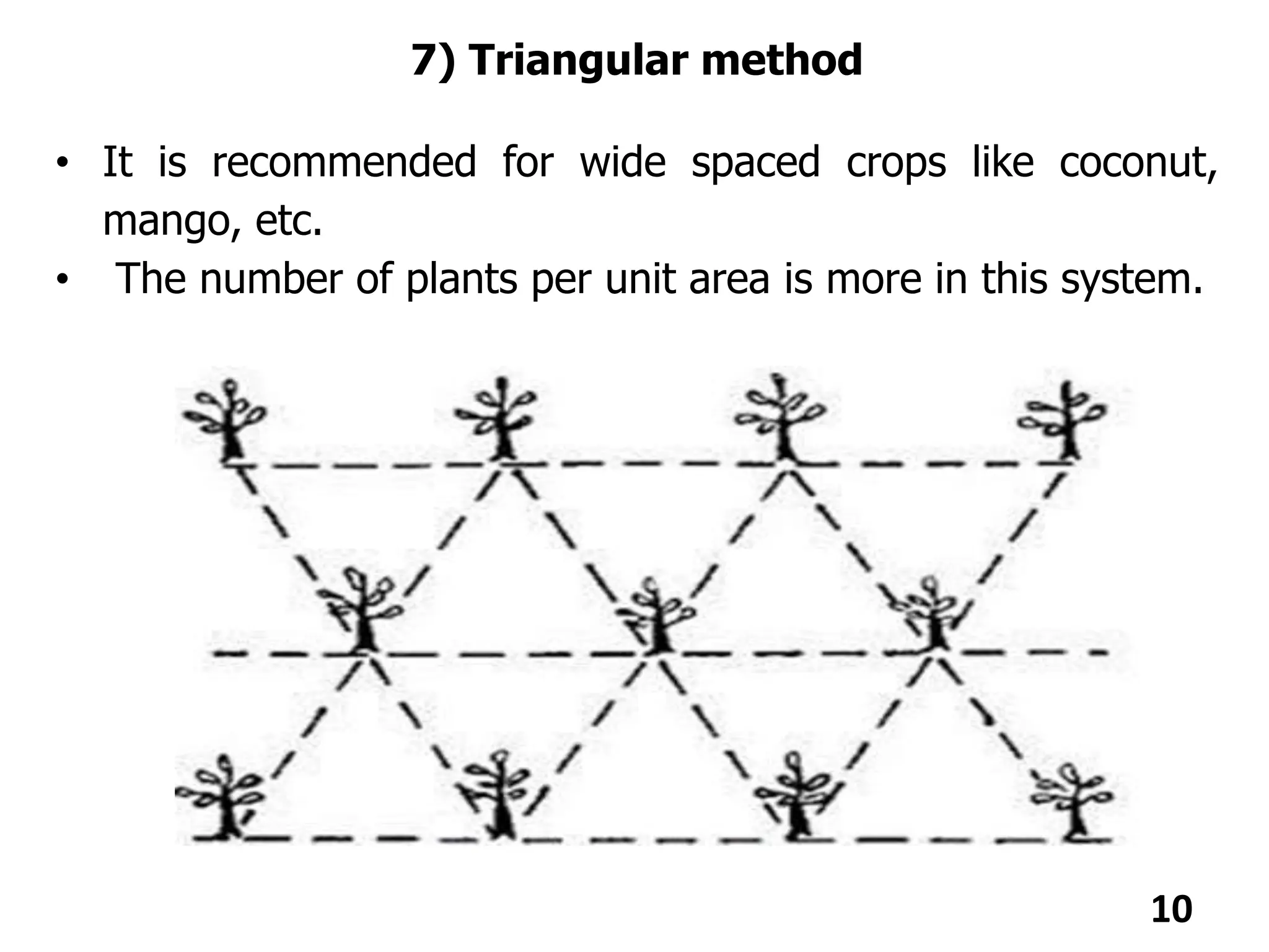 Lecture 4 Plant density and geometry.pptx