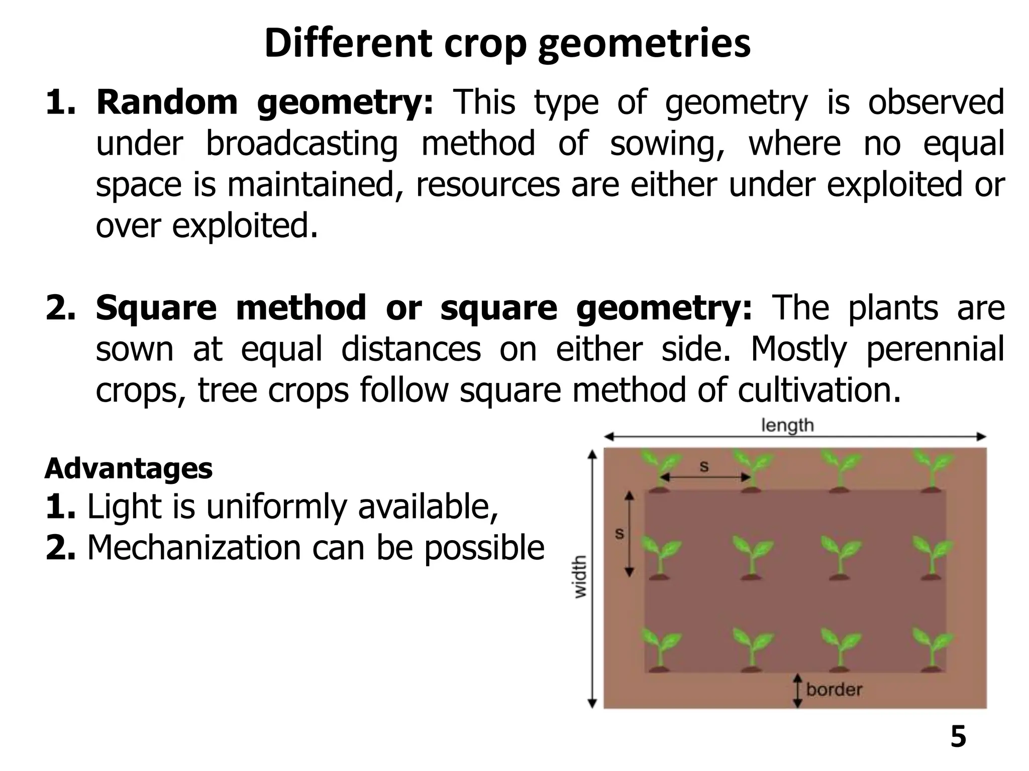 Lecture 4 Plant density and geometry.pptx