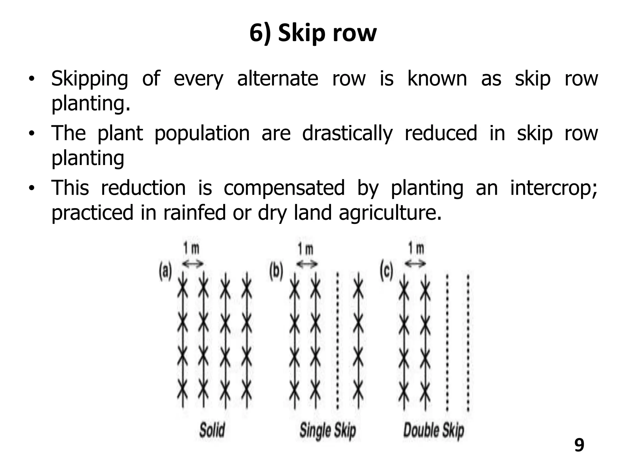 Lecture 4 Plant density and geometry.pptx