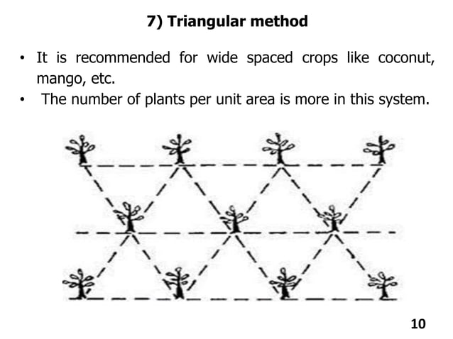 Lecture 4 Plant density and geometry.pptx | Agriculture | Industries