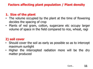 Lecture 4 Plant density and geometry.pptx