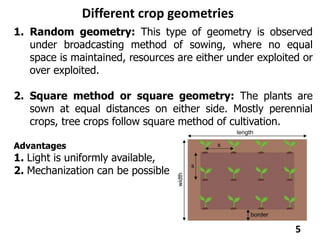 Lecture 4 Plant density and geometry.pptx