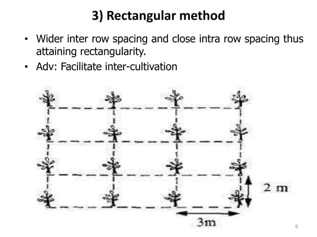 Lecture 4 Plant density and geometry.pptx | Agriculture | Industries