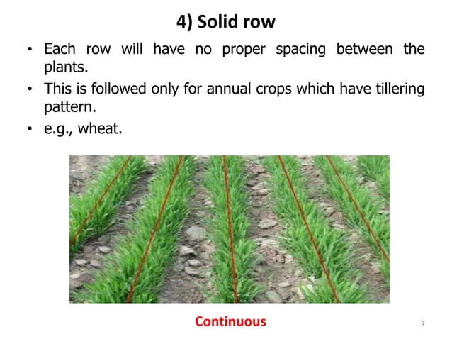 Lecture 4 Plant density and geometry.pptx | Agriculture | Industries