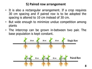 Lecture 4 Plant density and geometry.pptx