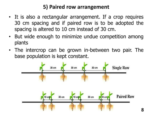 Lecture 4 Plant density and geometry.pptx | Agriculture | Industries