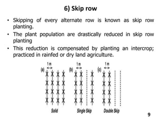 Lecture 4 Plant density and geometry.pptx