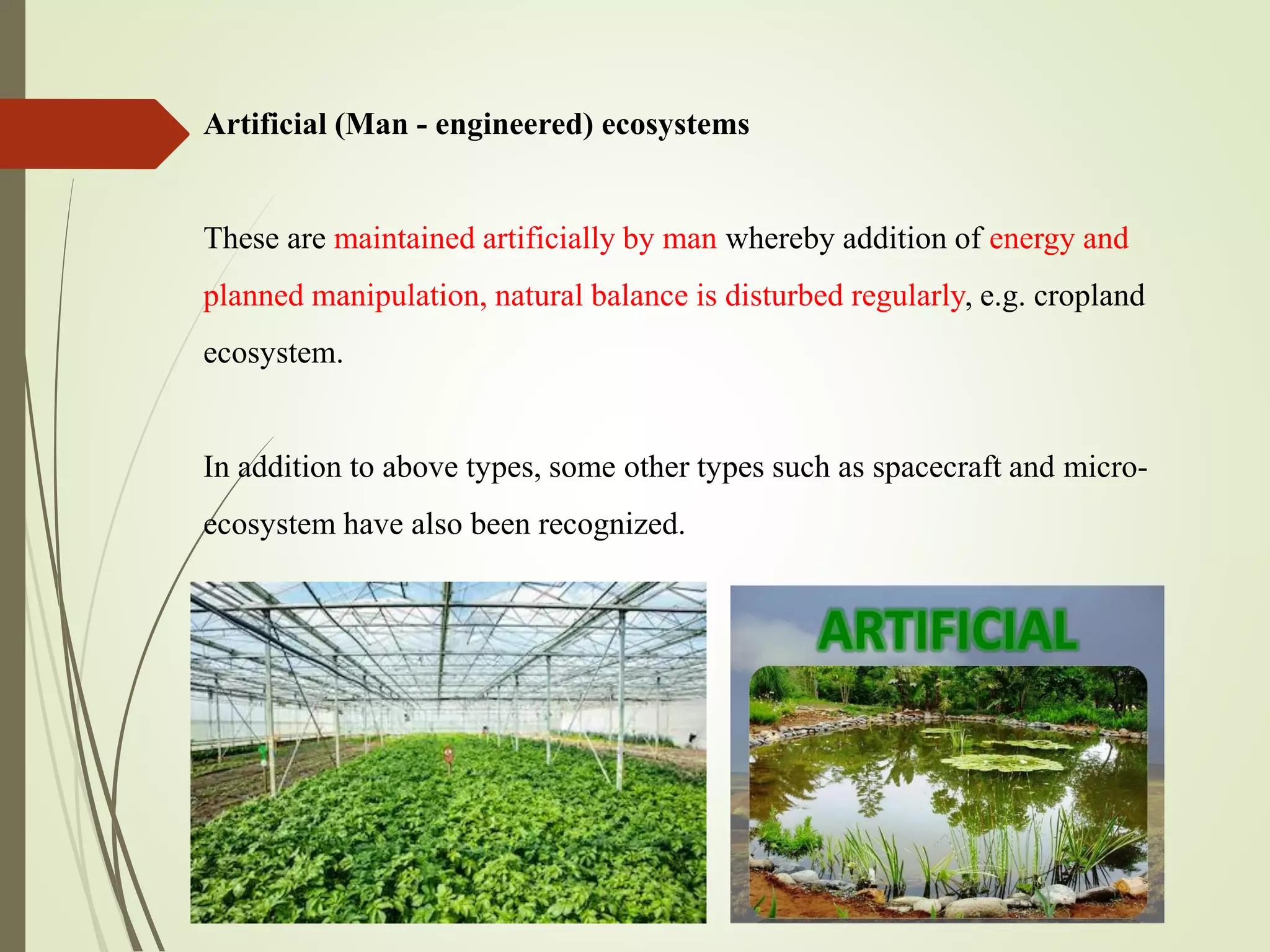Lecture 4ppt Ecosystem | PDF