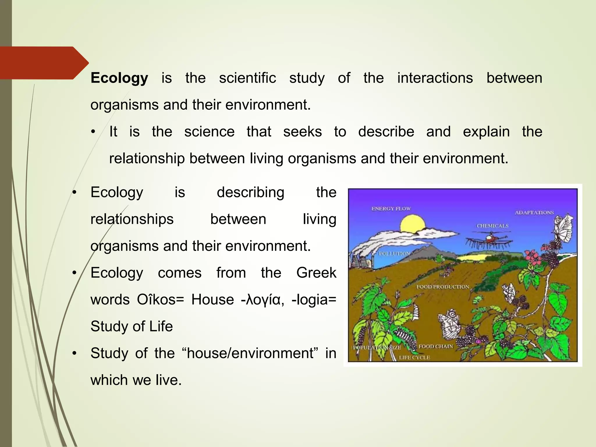 Lecture 4ppt Ecosystem | PDF