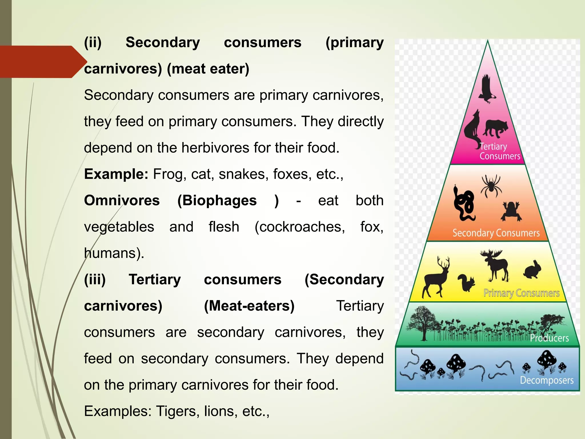 Lecture 4ppt Ecosystem | PDF