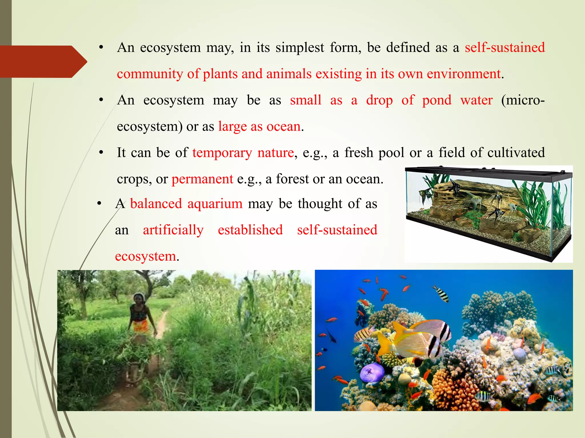 Lecture 4ppt Ecosystem | PDF