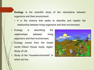 Lecture 4ppt Ecosystem | PDF