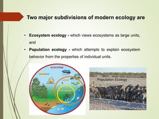 Lecture 4ppt Ecosystem | PDF