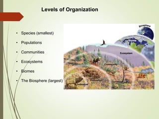Lecture 4ppt Ecosystem | PDF | Geography | Science