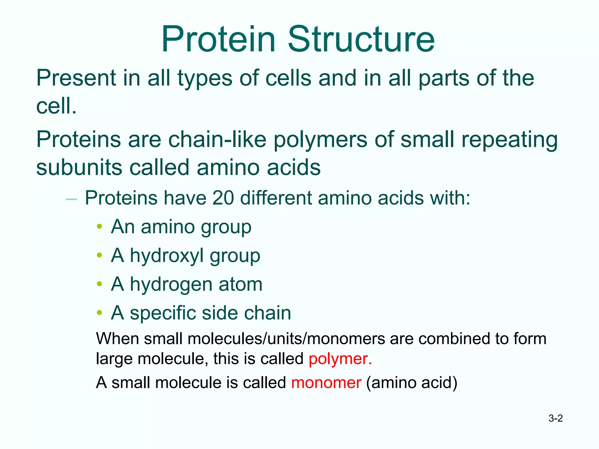 Lecture 4 Proteins.ppt