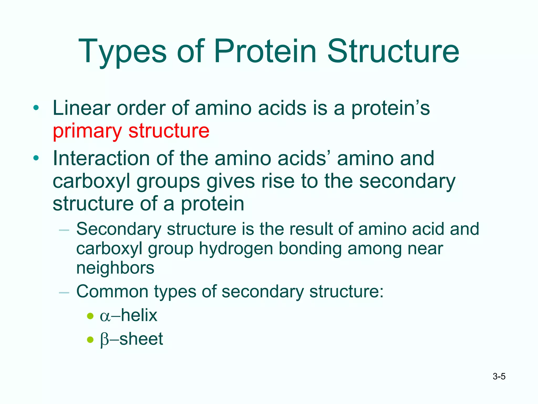 Lecture 4 Proteins.ppt