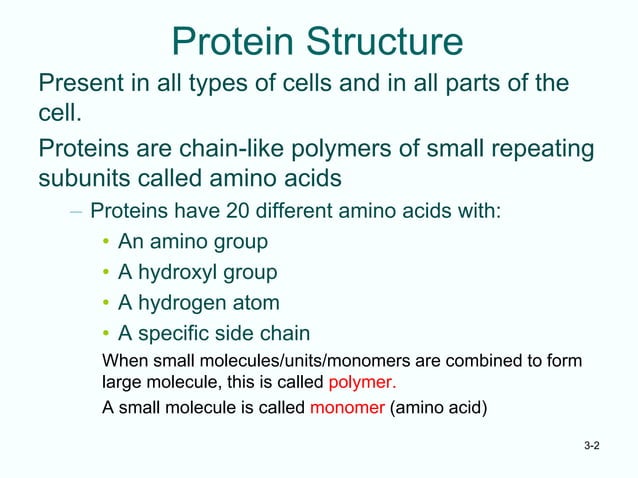 Lecture 4 Proteins.ppt