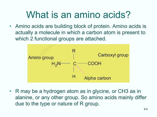 Lecture 4 Proteins.ppt