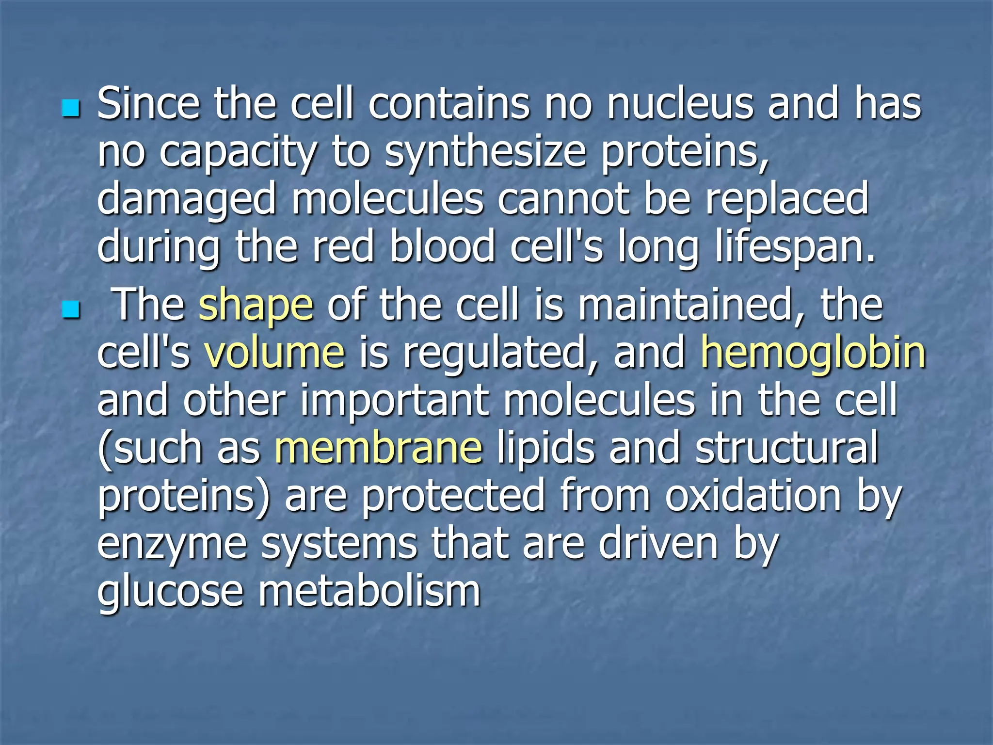 Lecture 4 RBC metabolism & Hb synthesis.ppt