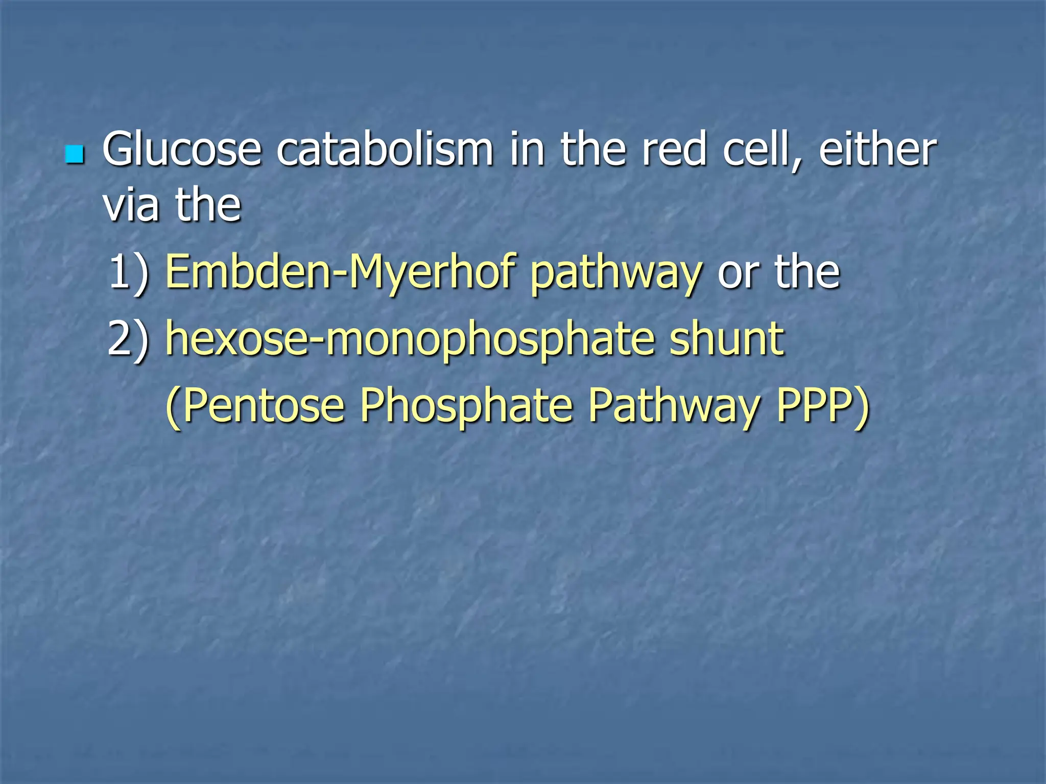 Lecture 4 RBC metabolism & Hb synthesis.ppt