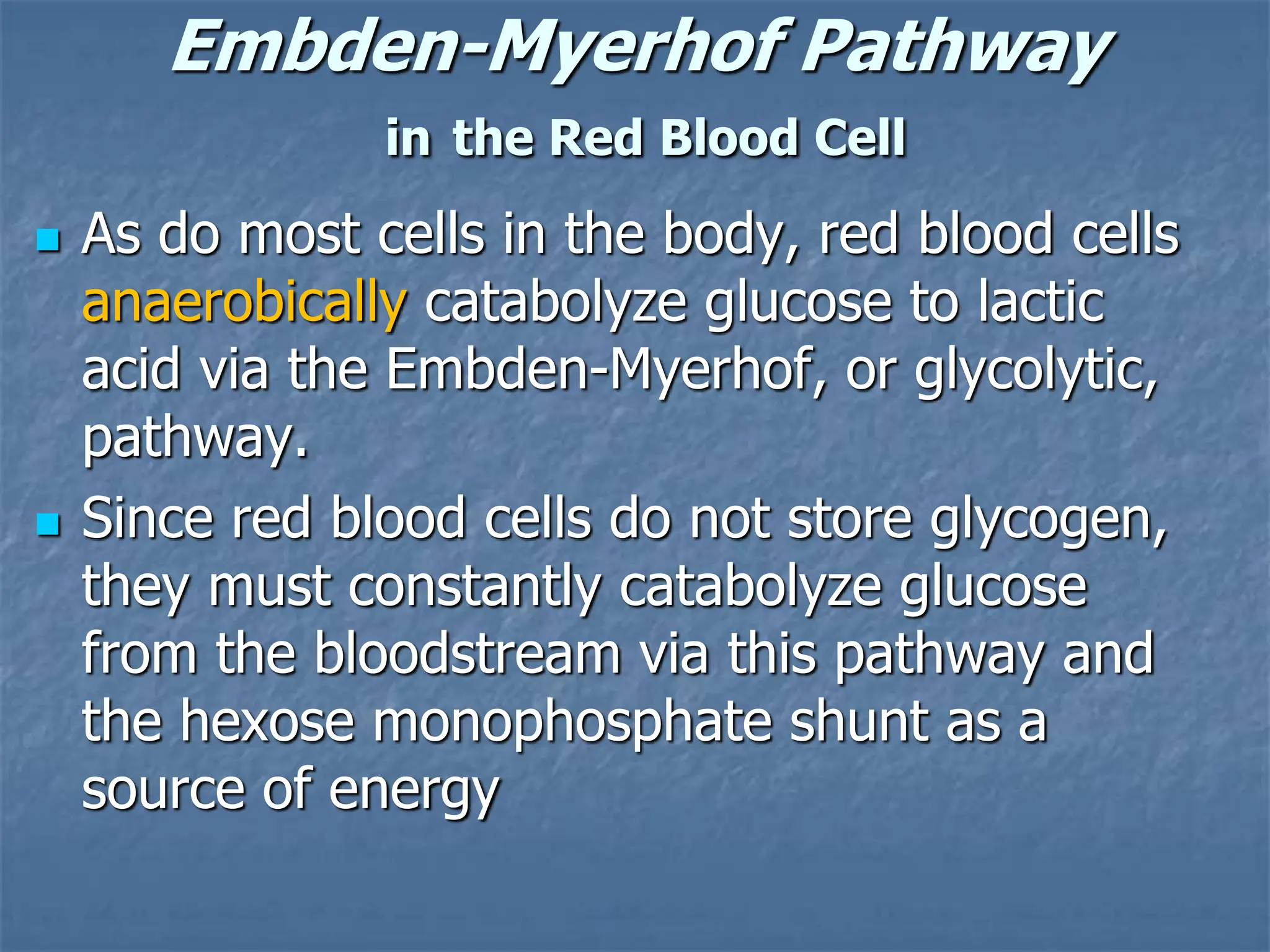 Lecture 4 RBC metabolism & Hb synthesis.ppt
