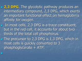 Lecture 4 RBC metabolism & Hb synthesis.ppt