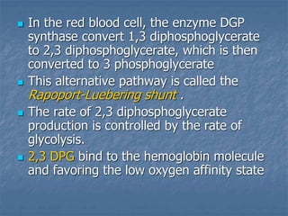 Lecture 4 RBC metabolism & Hb synthesis.ppt