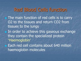 Lecture 4 RBC metabolism & Hb synthesis.ppt