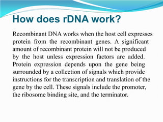 LECTURE 4 Recombinant DNA Technology lec# 1.pptx